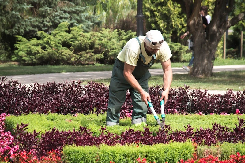 Grounds Maintenance 101: Strategies & Groundskeeper Roles